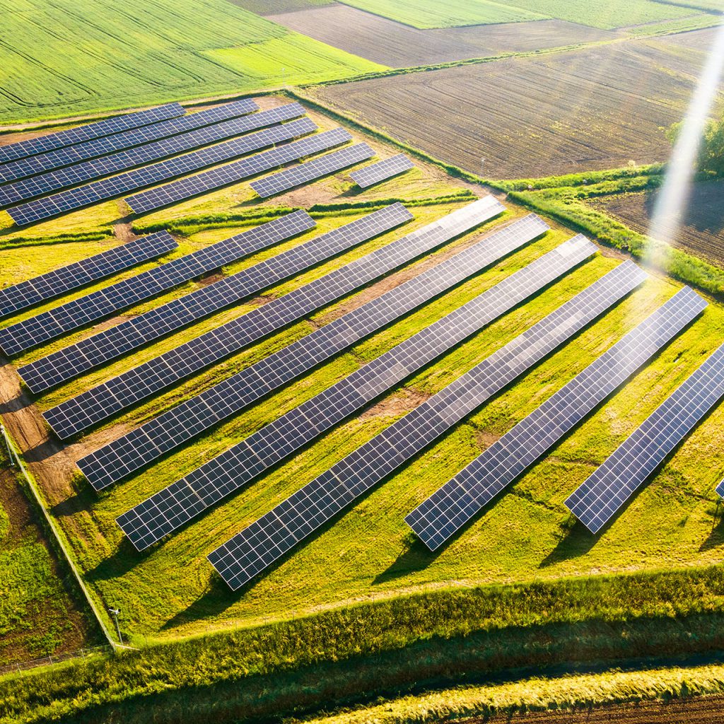 Hammer Energy – Passion for solar.